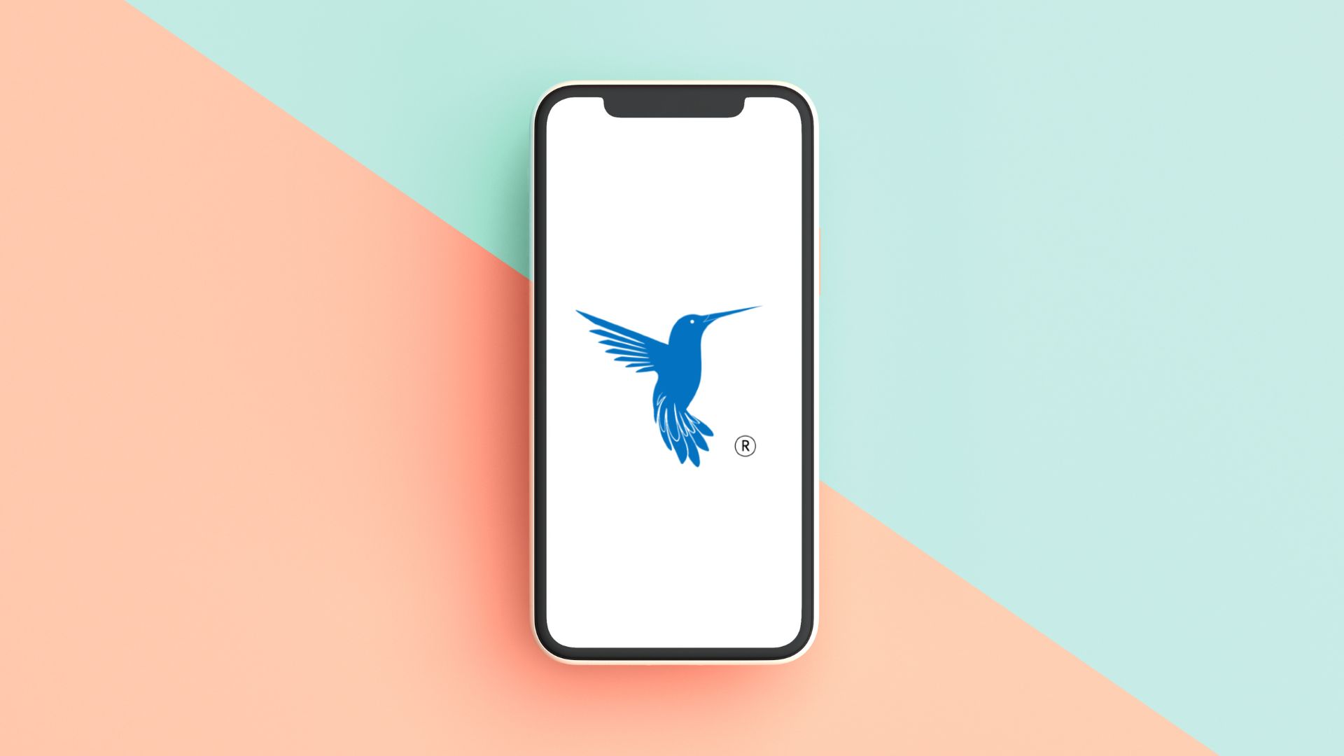 Hummie - A revolutionary change is coming